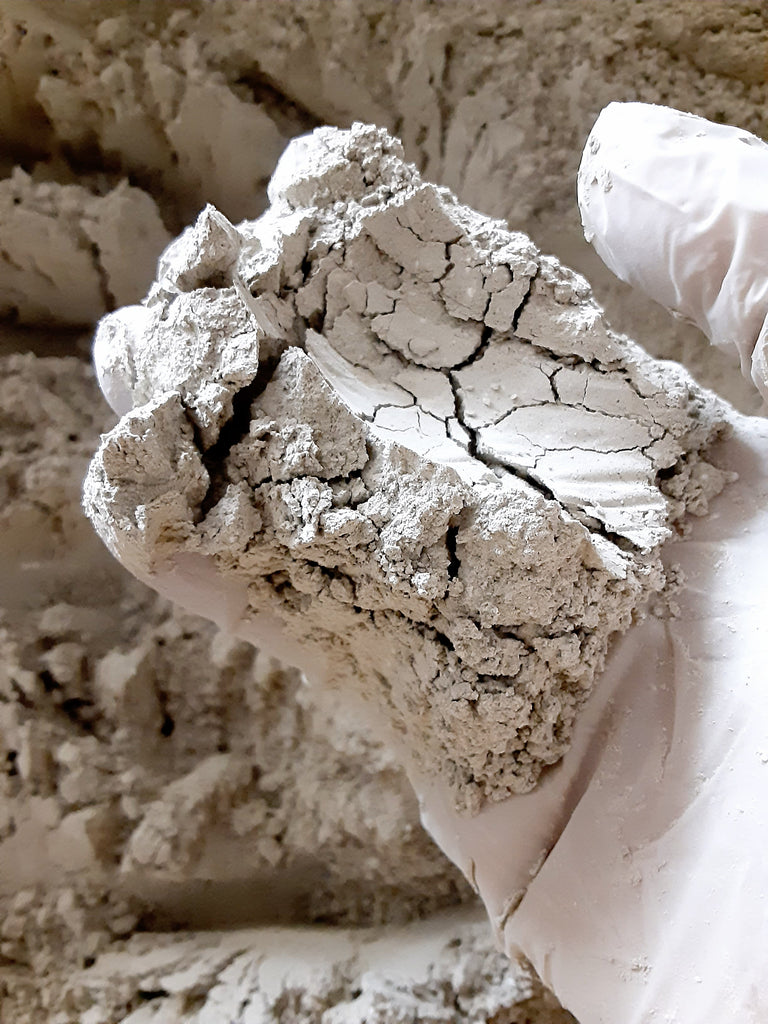 Remineralizing Clay Tooth Powder – The Shea Shack